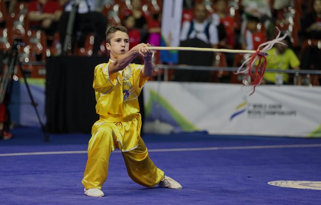 Wushu taolu basic training pdf - megalsa